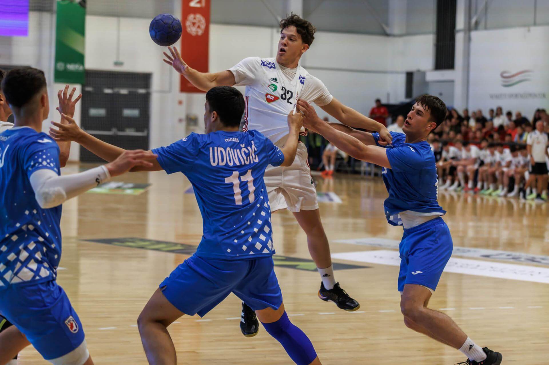 Interjú az Ifjúsági VB előtt - Apró Botond - Veszprém Handball Academy