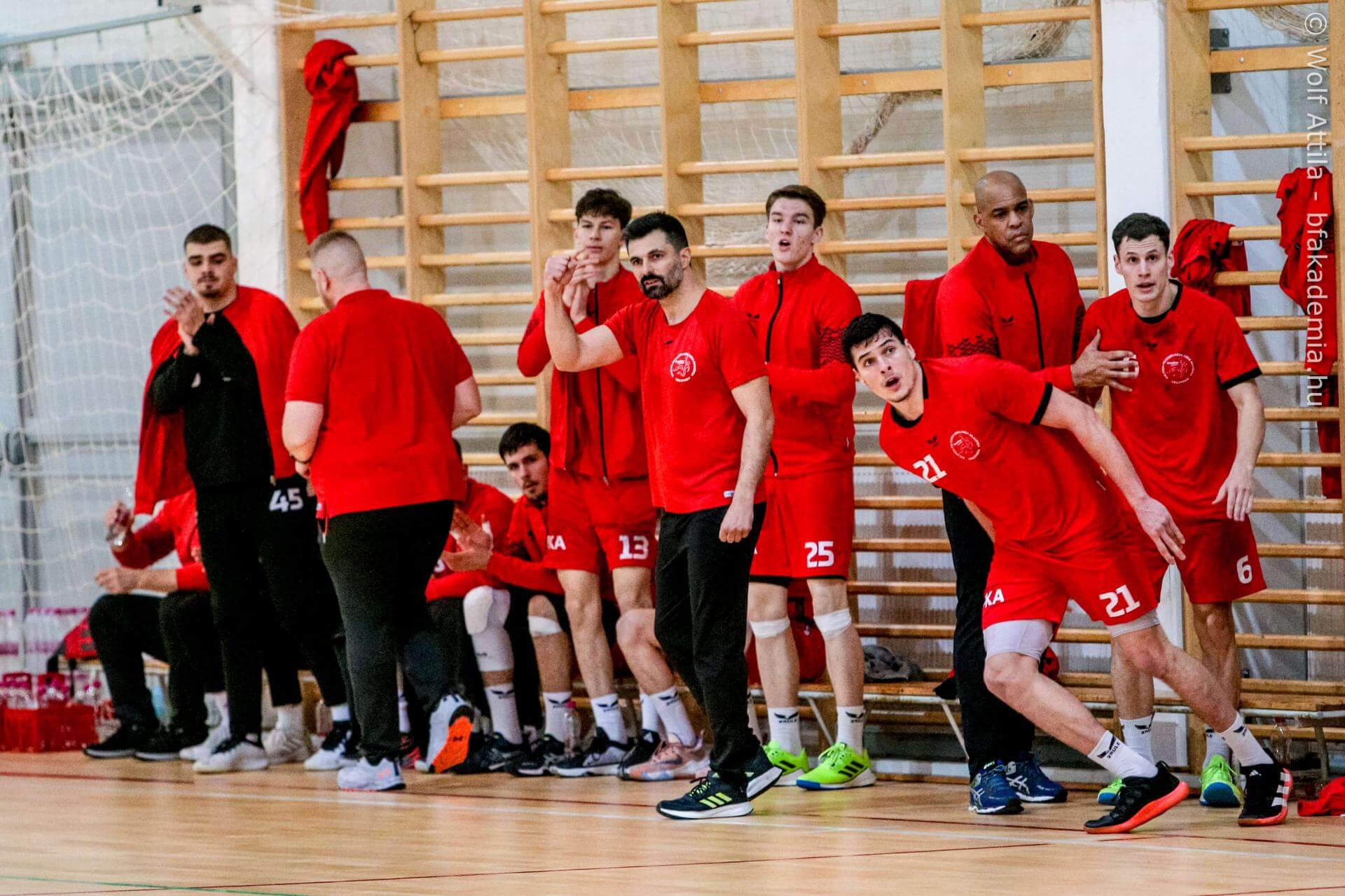 Az év első bajnoki mérkőzései következnek - Veszprém Handball Academy